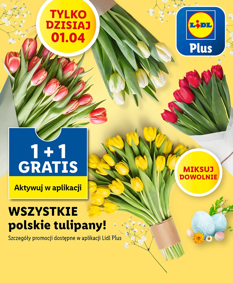 Lidl Polska